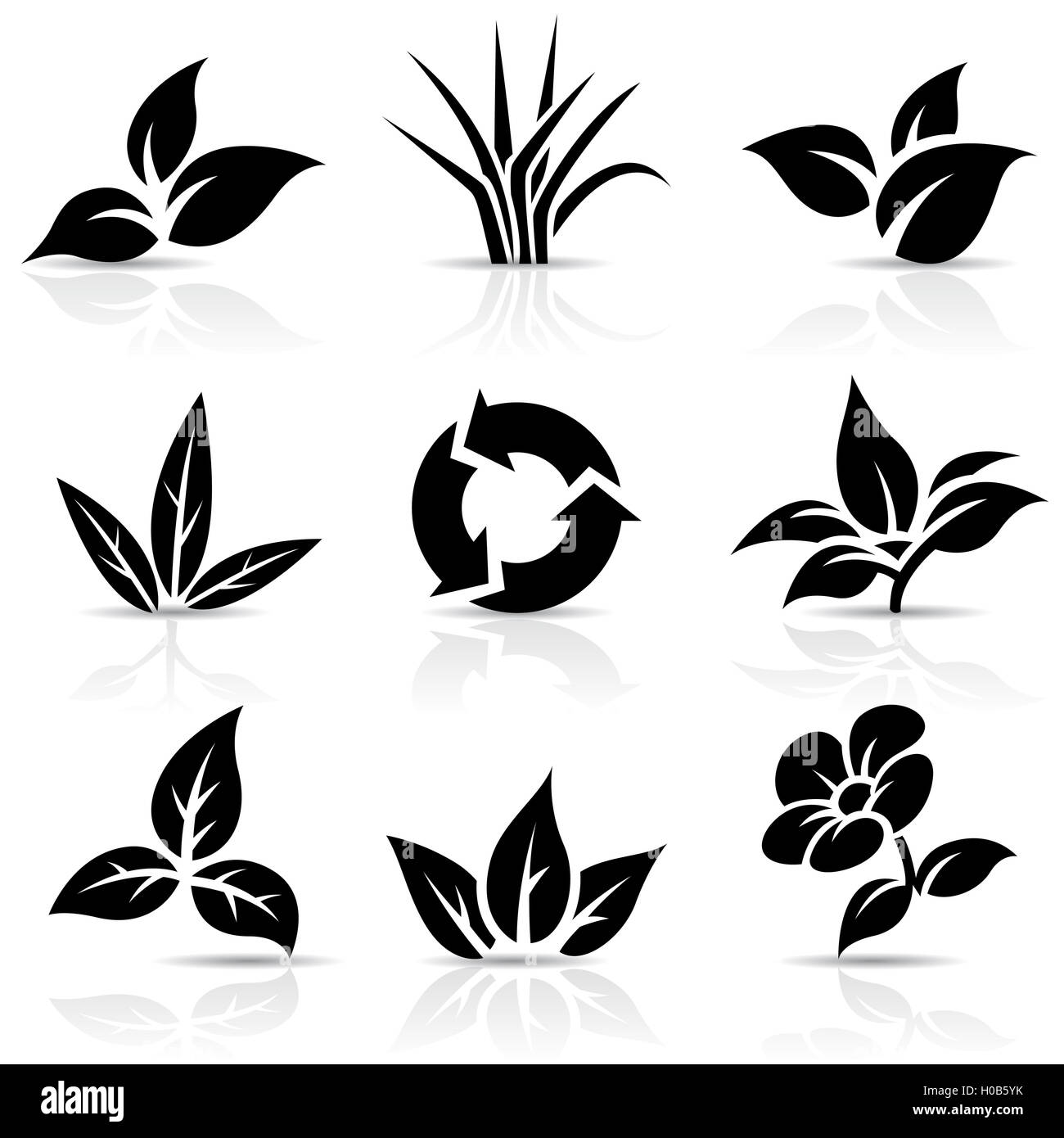 Vector Illustration of Black Leaves isolated on white Stock Photo - Alamy