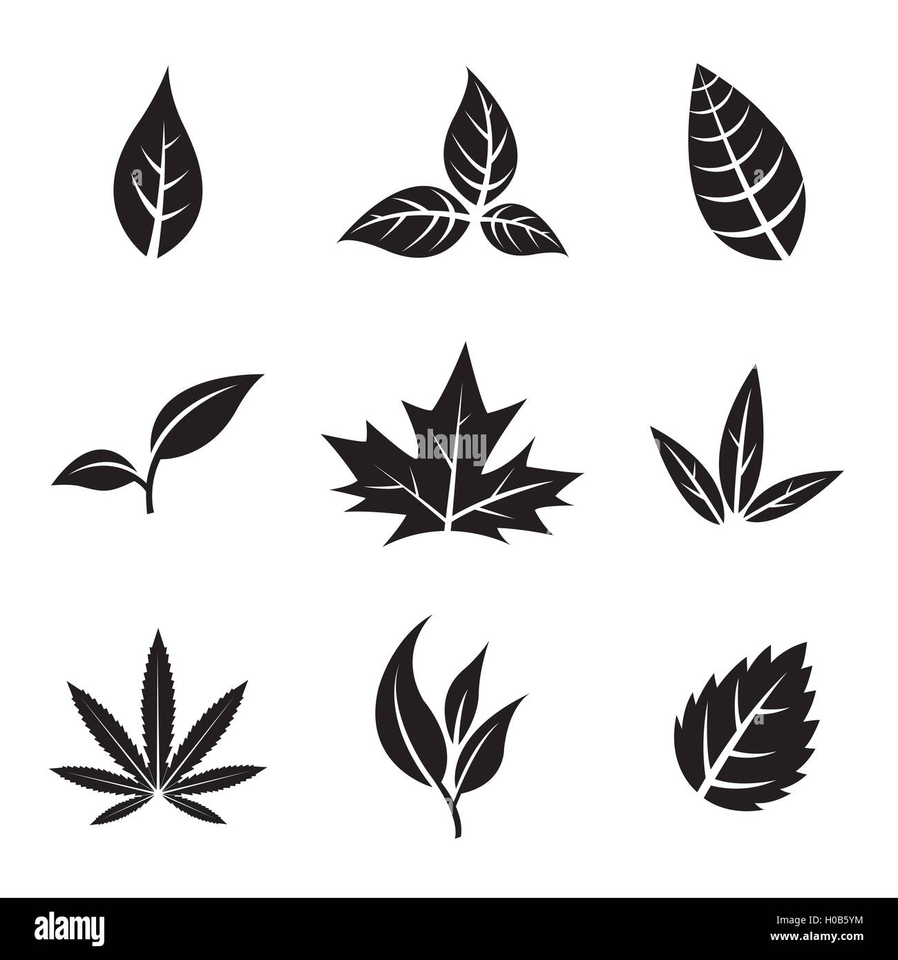 Vector Illustration of Black Leaves isolated on white Stock Photo - Alamy
