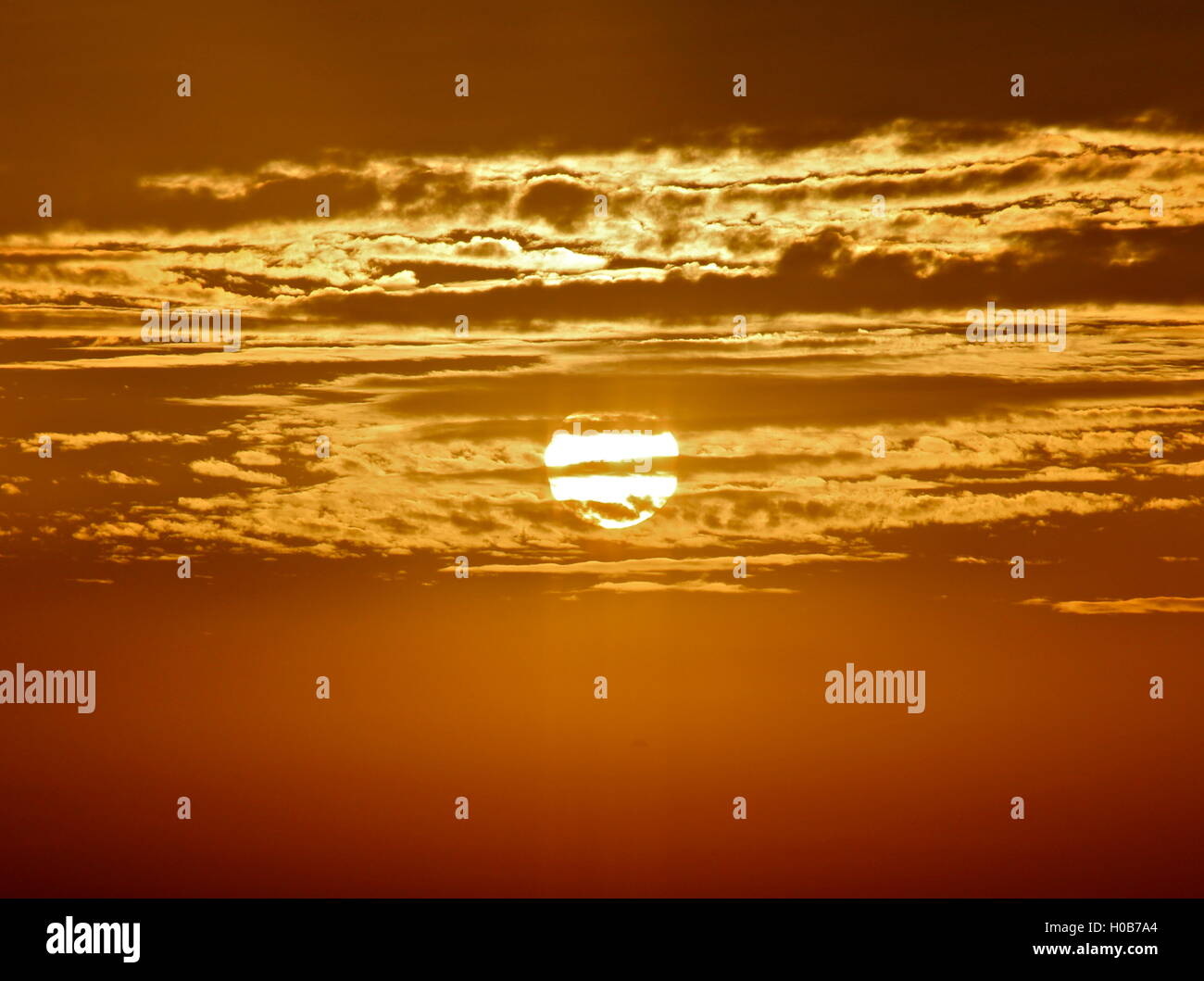 Scorching hot sun hi-res stock photography and images - Alamy Scorching hot sun hi-res stock photography and images - Alamy