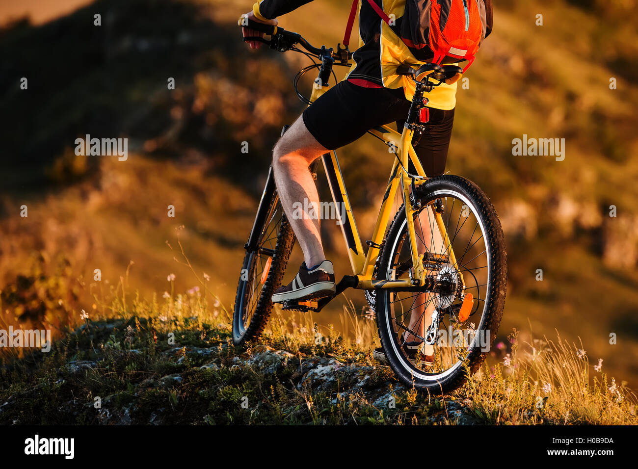 Rear View of a Sporty Man Riding a Bicycle on the Country Road. Healthy ...