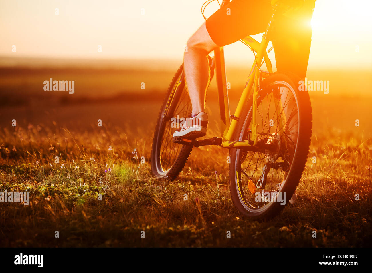 Rear View of a Sporty Man Riding a Bicycle on the Country Road. Healthy ...