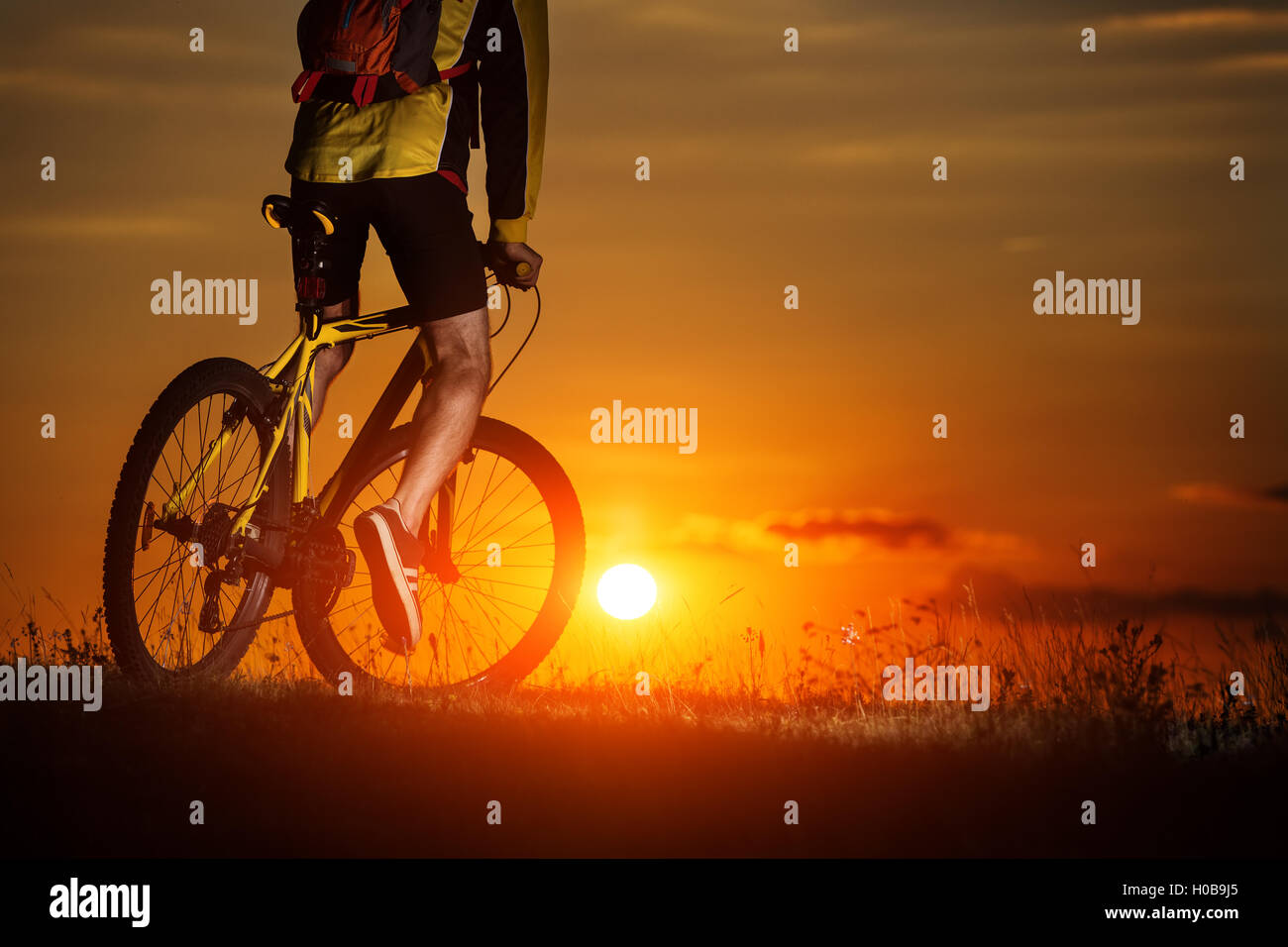 Rear View of a Sporty Man Riding a Bicycle on the Country Road. Healthy ...