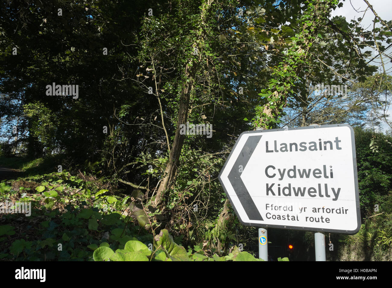 Bilingual road sign to Kidwelly,and Llansaint via coastal road in ...
