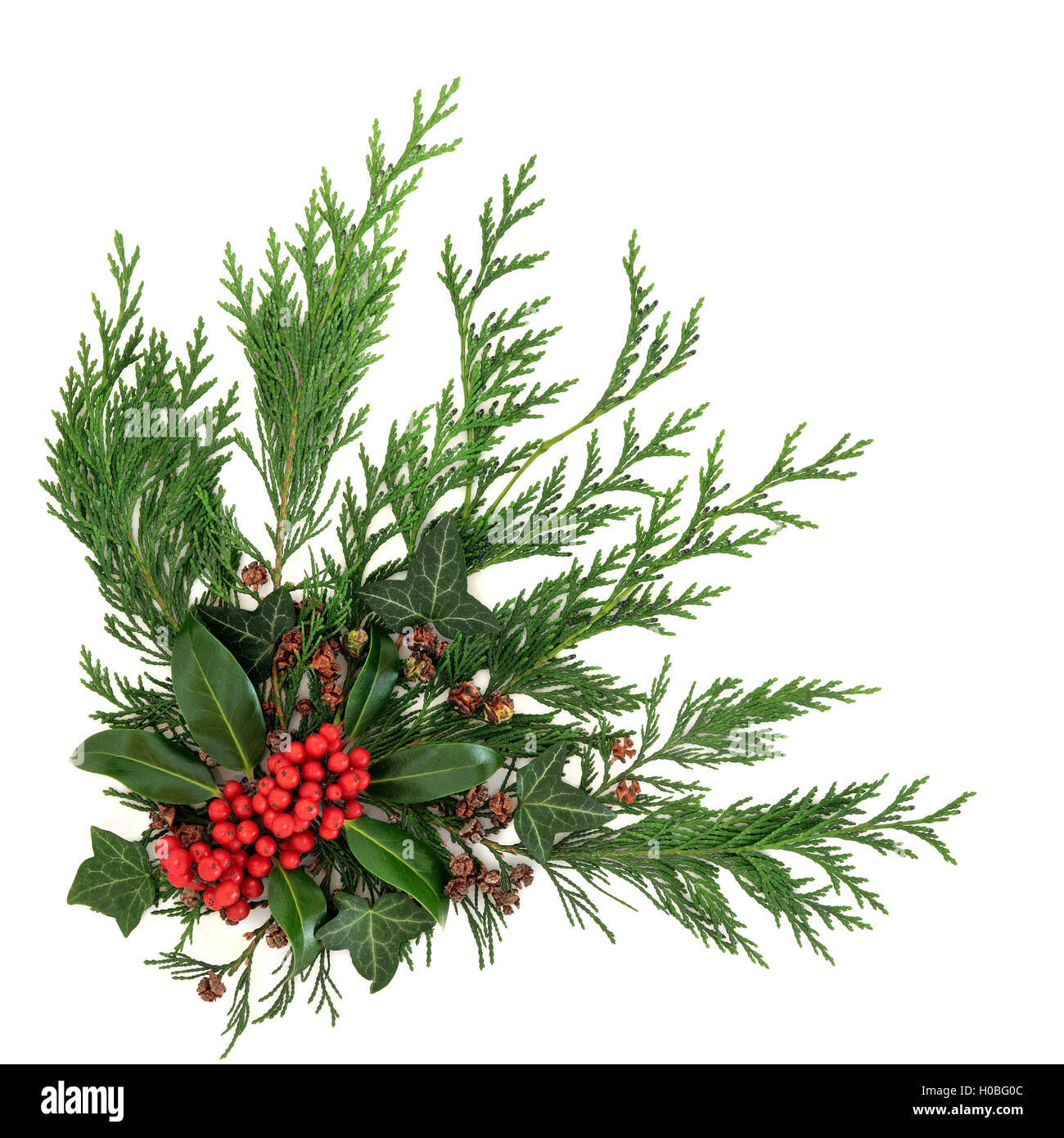 Christmas floral centrepiece hi-res stock photography and images - Alamy
