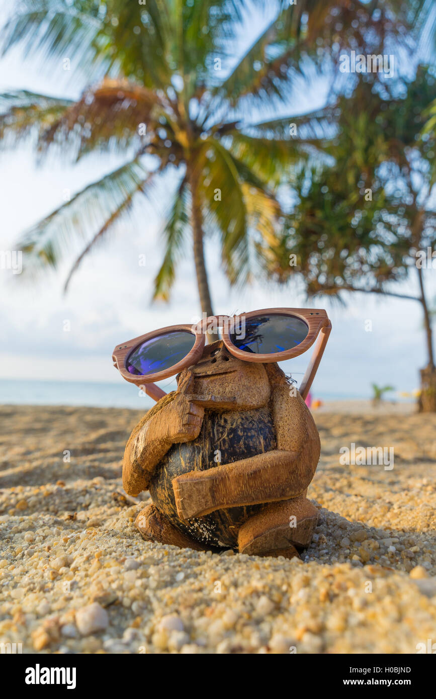 Coconut monkey on the beach in THailand Stock Photo - Alamy