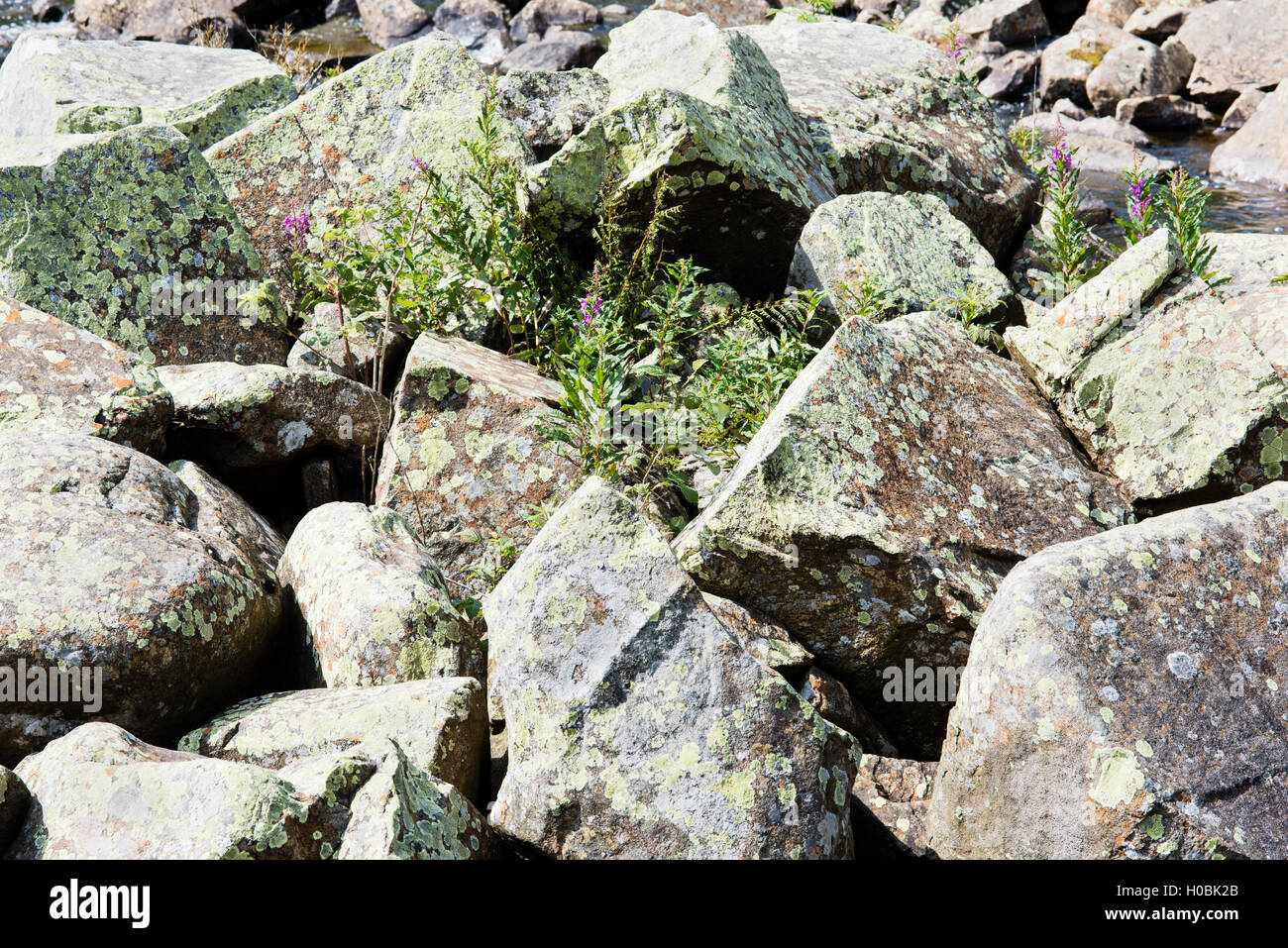 Eroded rocks deposited below Cauldron Snout waterfall, Upper Teesdale ...