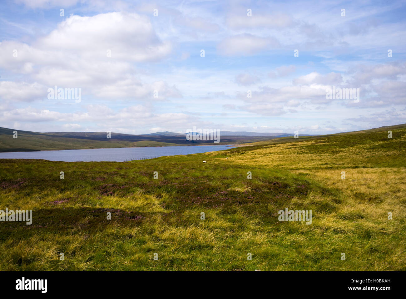 Cow Green Reservoir, Upper Teesdale National Nature Reserve, Durham ...