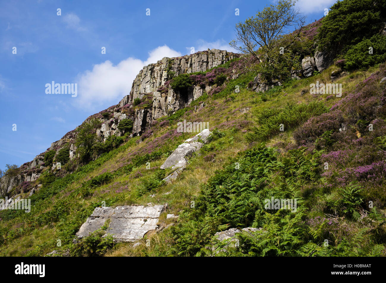 Falcon Clints, Upper Teesdale National Nature Reserve, Durham, England ...