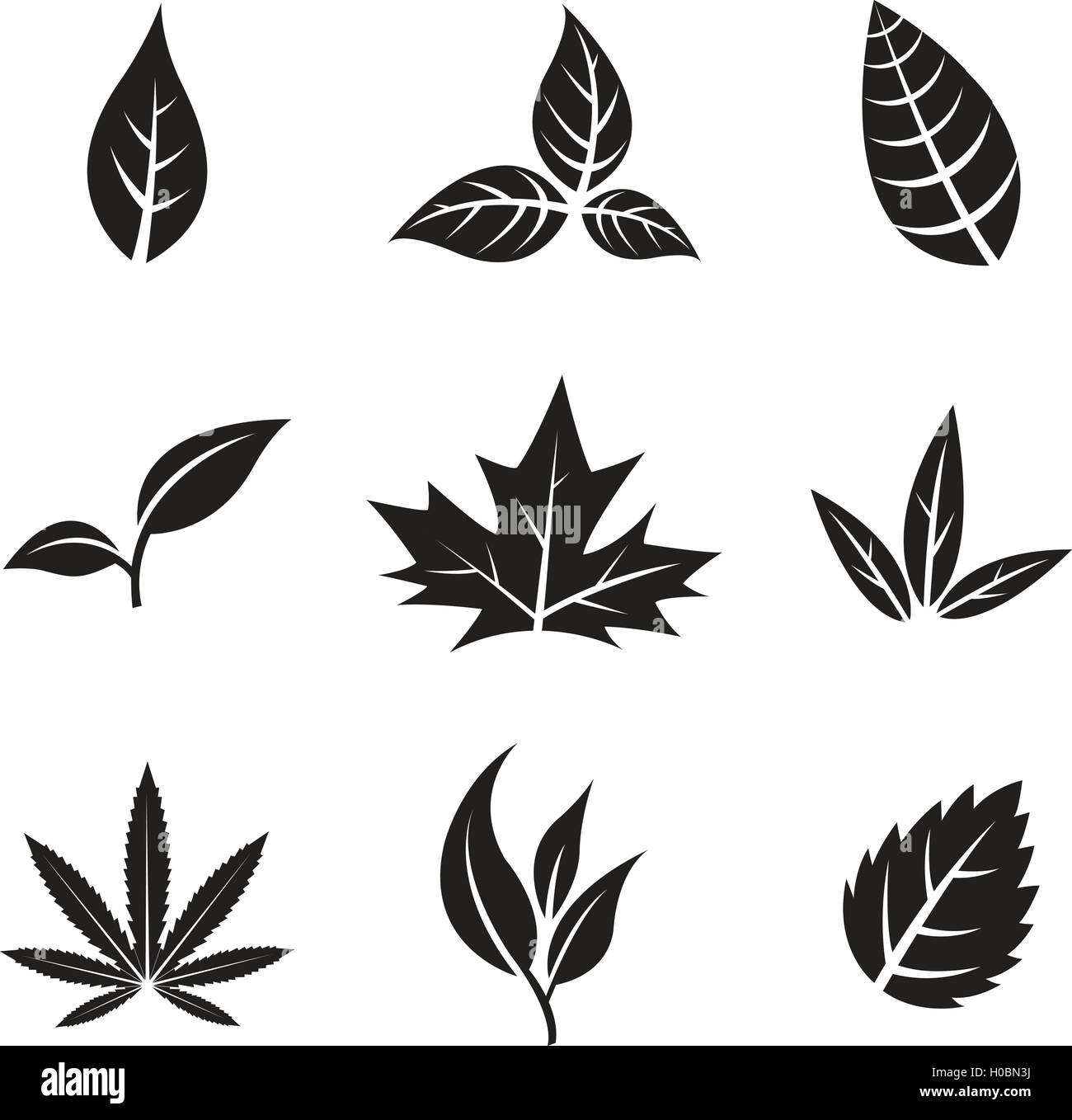 Vector Illustration of Black Leaves isolated on white Stock Vector ...