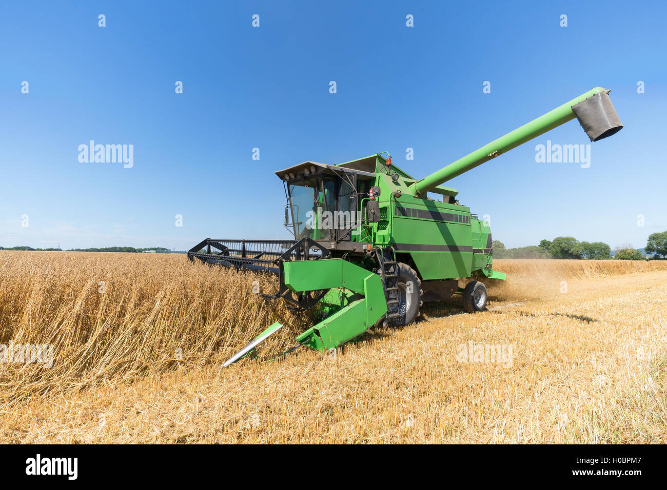 Working combine harvester during harvest of oat Stock Photo - Alamy