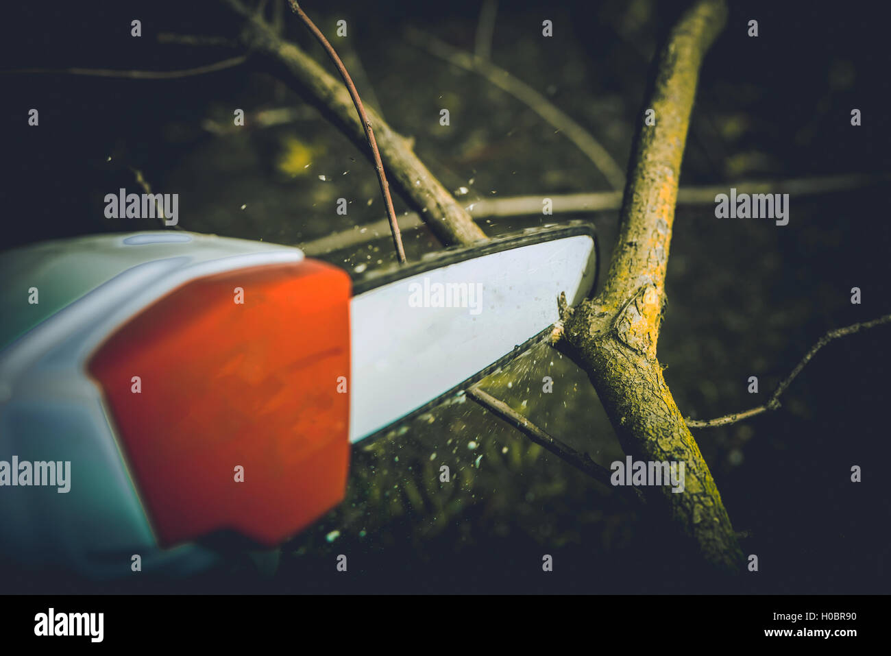 Wood cutter hi-res stock photography and images - Alamy