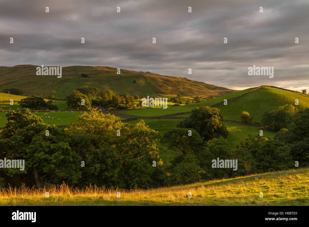 Hillside sunset hi-res stock photography and images - Alamy