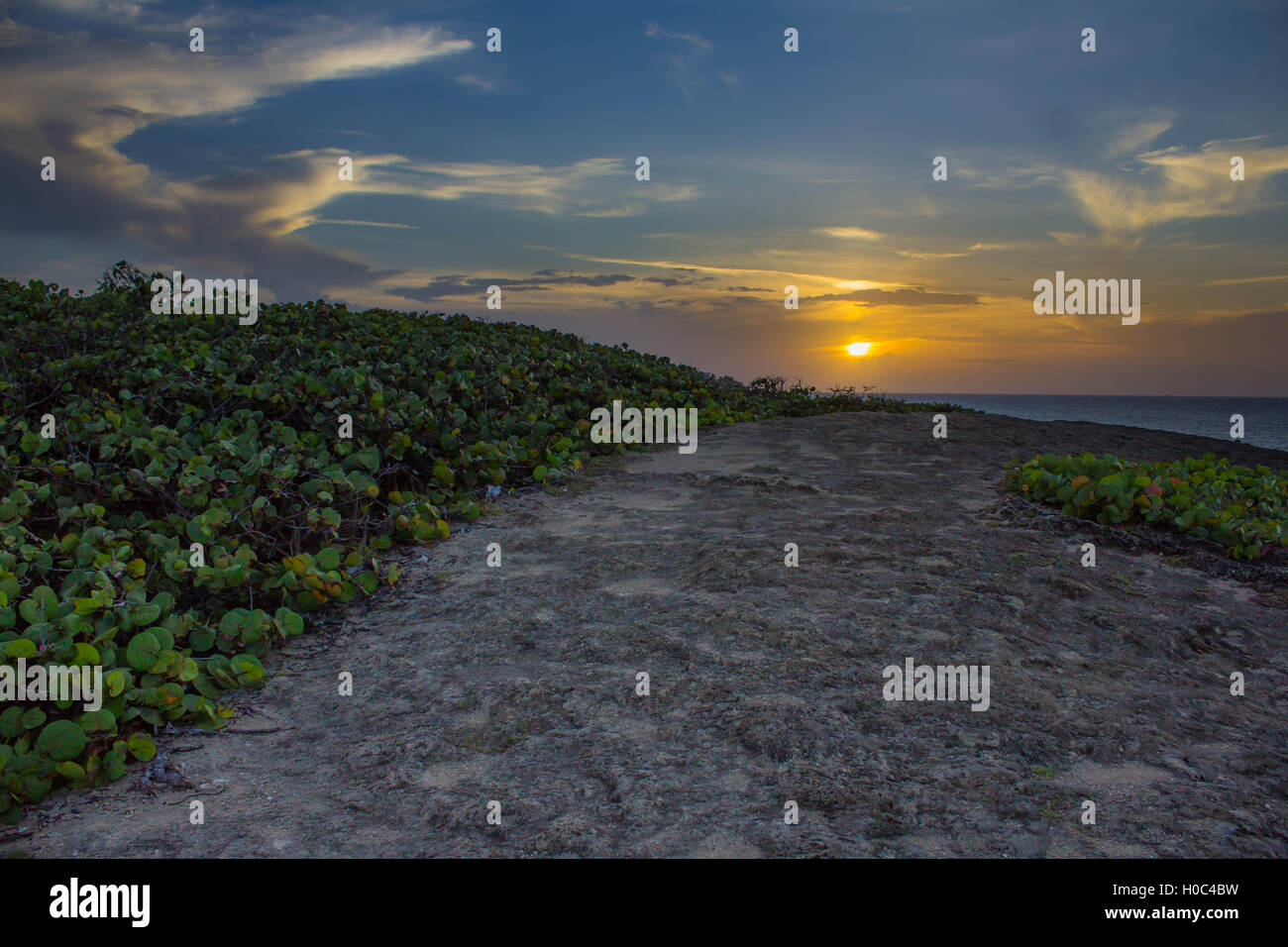 Beachfront night sky hi-res stock photography and images - Alamy