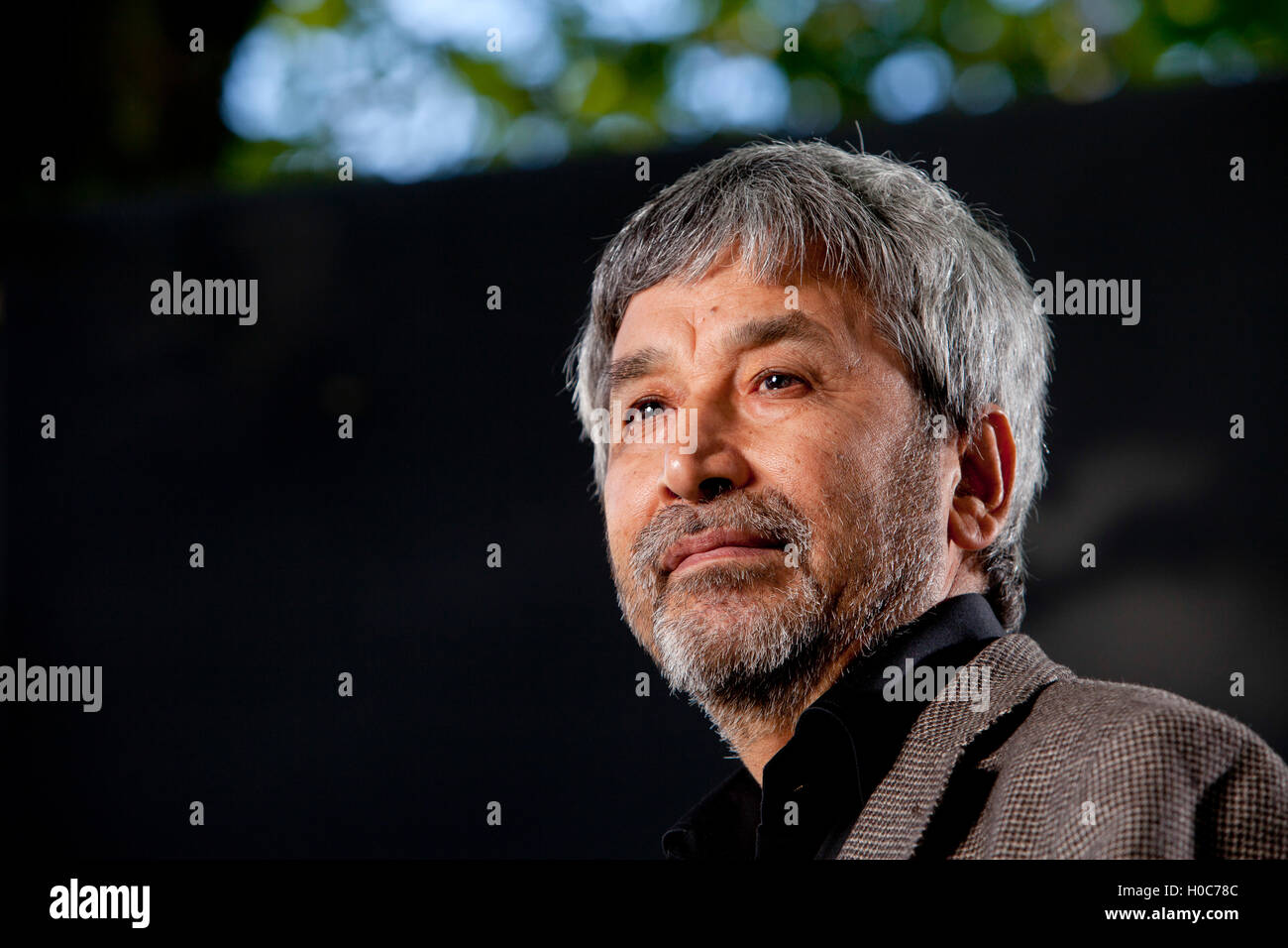Ismailov hi-res stock photography and images - Alamy