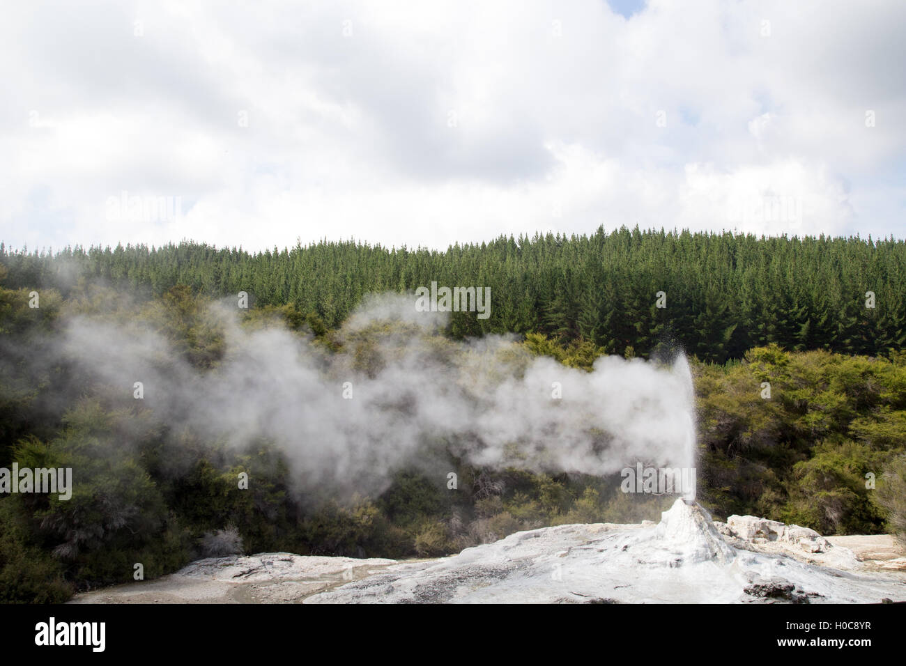 Geyser eruption new zealand hi-res stock photography and images - Alamy