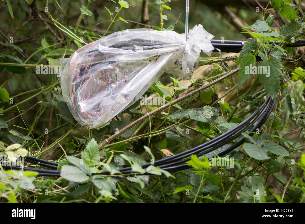 Repair spliced wires cable bag hi-res stock photography and images - Alamy