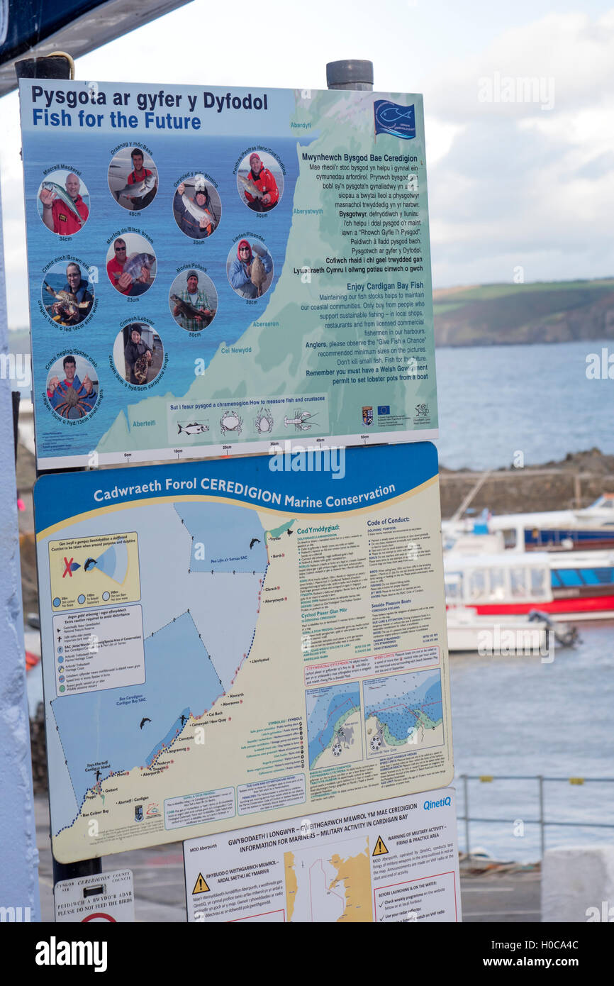 Fish for the future Newquay Ceredigion Wales Stock Photo - Alamy