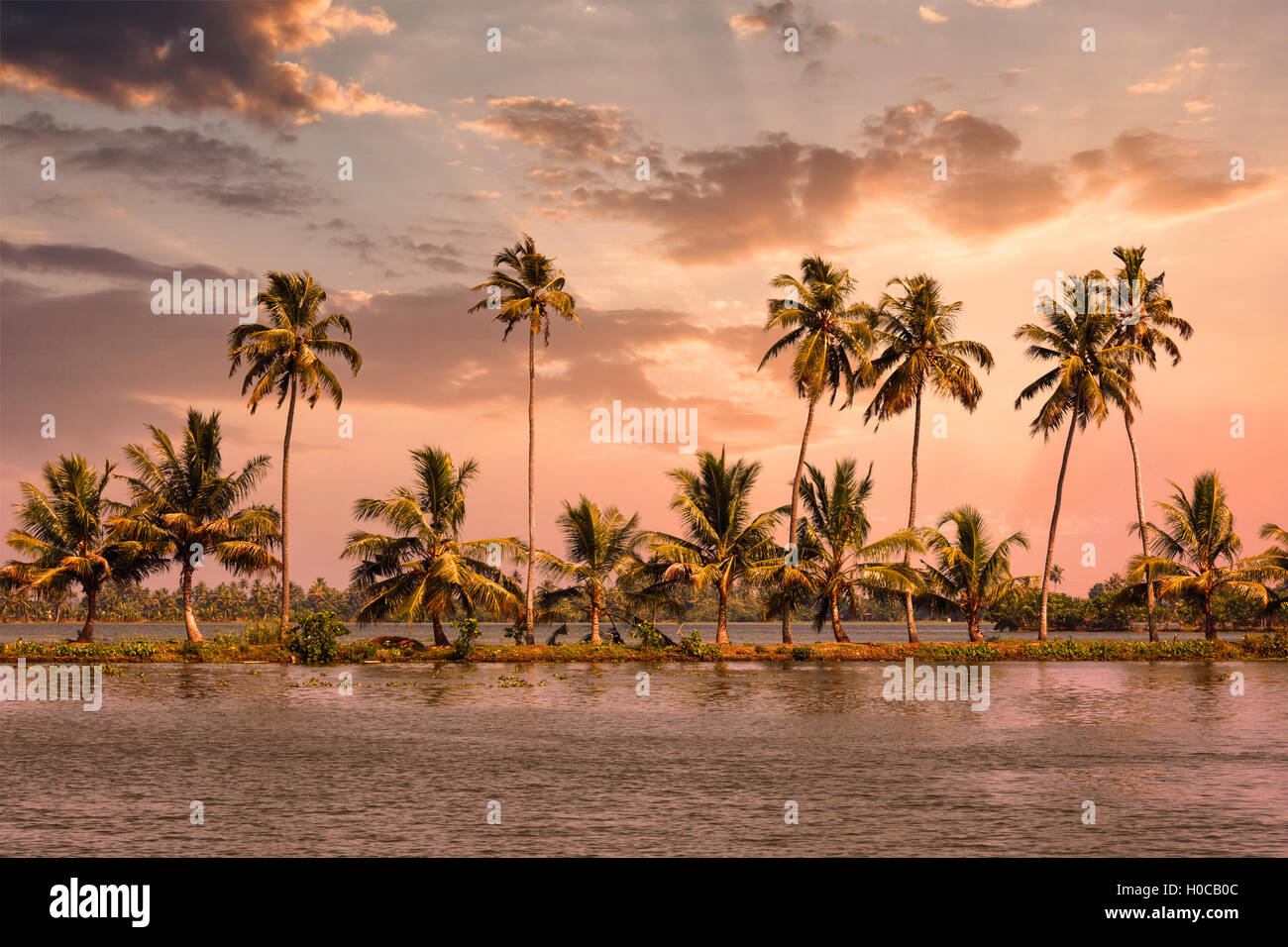 Kerala backwaters with palms on sunset Stock Photo - Alamy