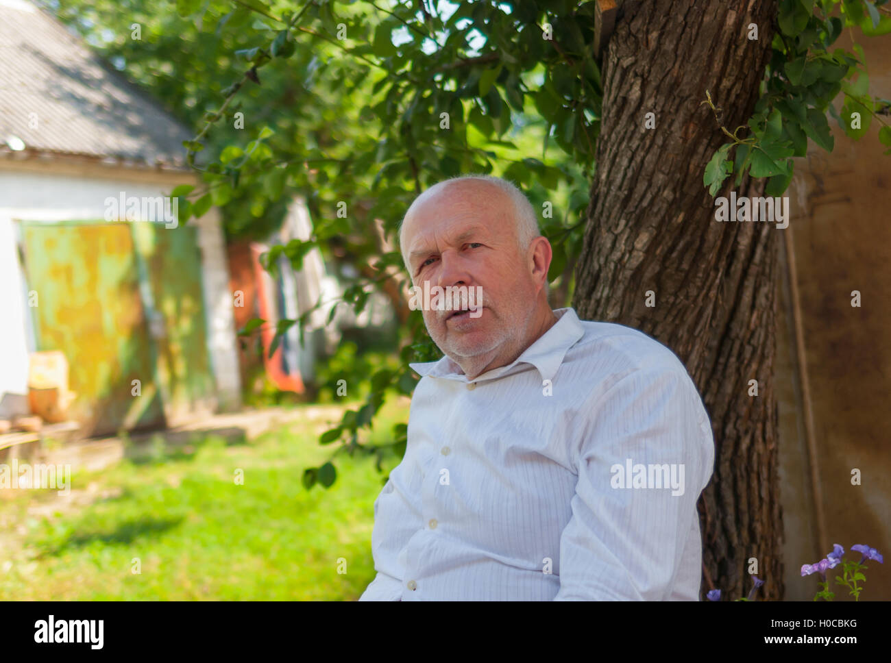 Senior man sitting under tree hi-res stock photography and images - Alamy