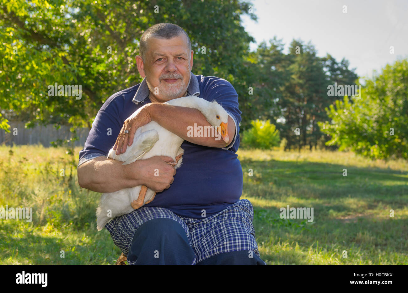 Goose friends hi-res stock photography and images - Alamy