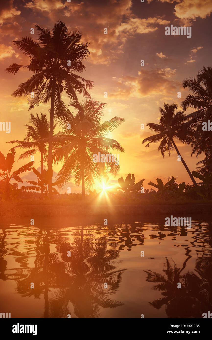 Sunset on Kerala backwaters Stock Photo - Alamy