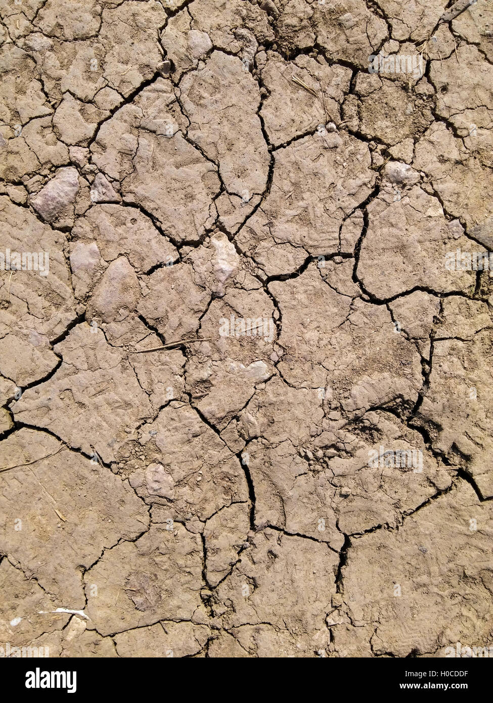 Dry soil surface Stock Photo - Alamy