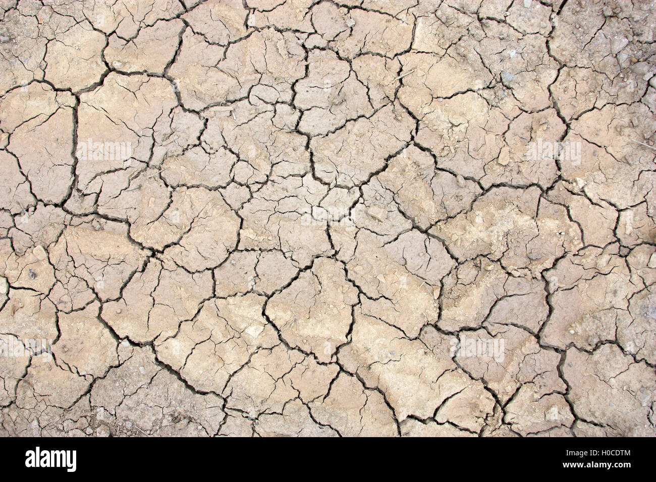 Dry soil surface Stock Photo - Alamy