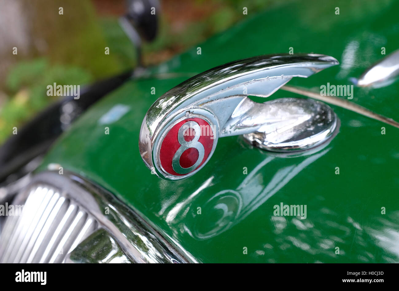 Car bonnet emblem hi-res stock photography and images - Alamy