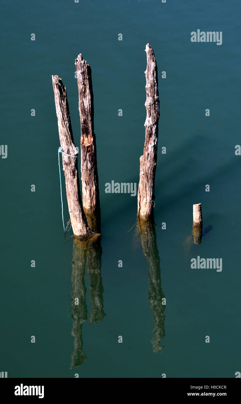 Waterlogged tree stumps in the river at Sanklaburi Thailand Stock Photo ...