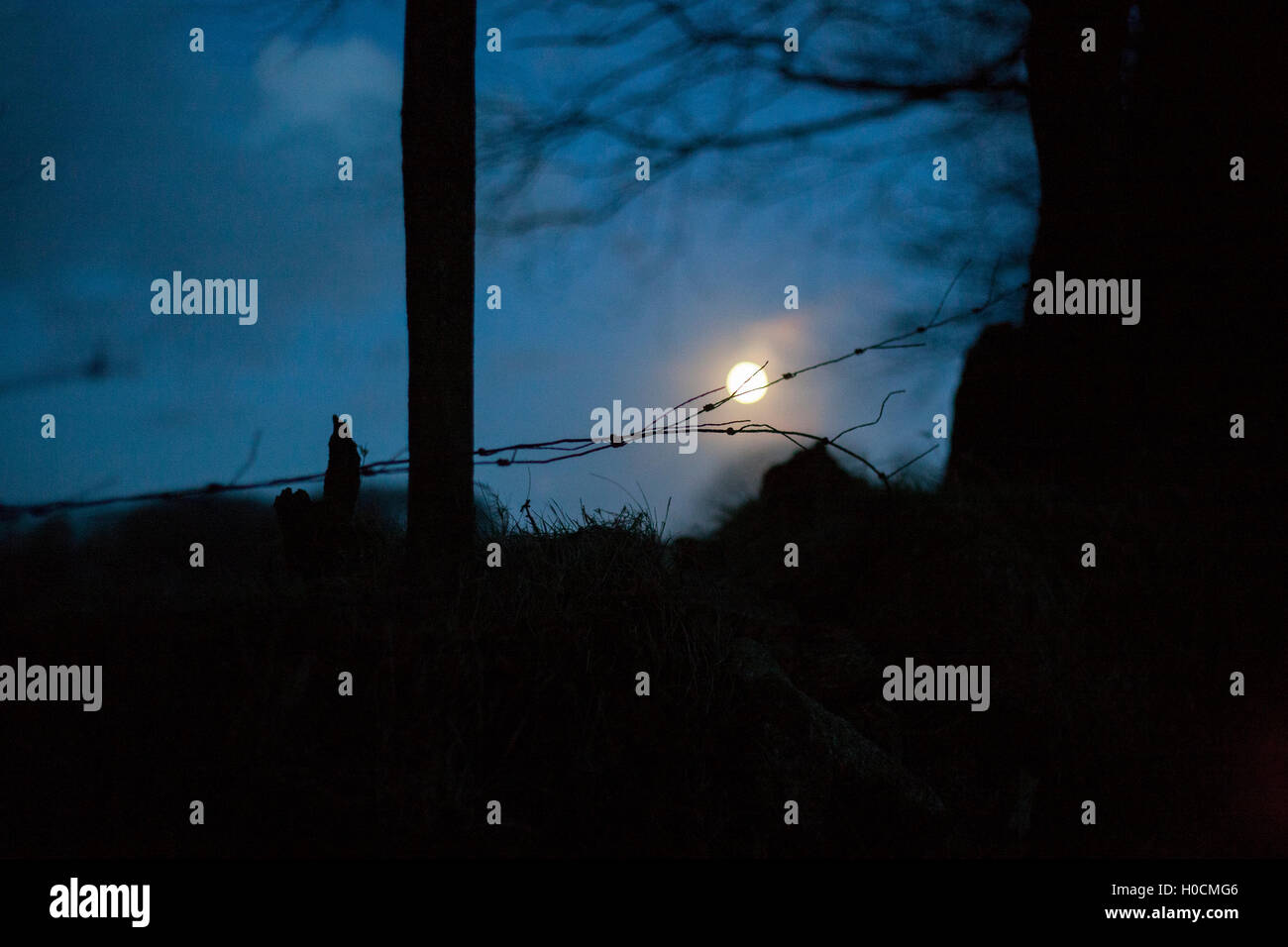 Night shot full moon barbed wire fence clouds tree branches dusk sun ...