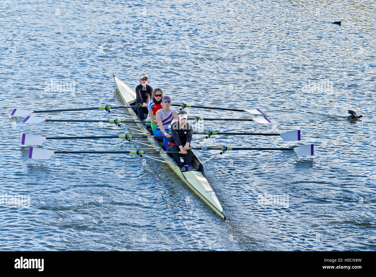 Racing on the river thames hi-res stock photography and images - Alamy