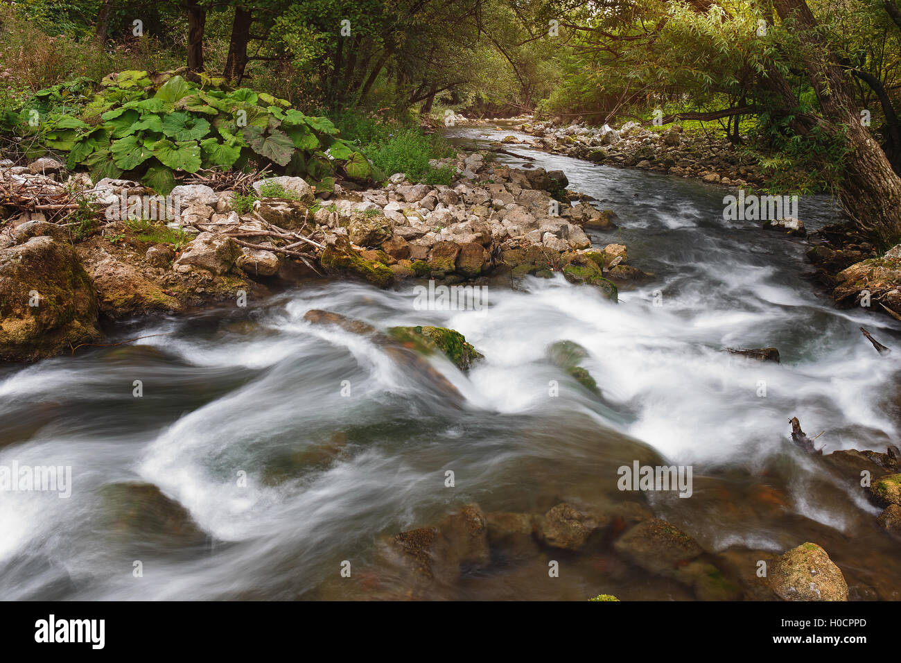Gradac river gorge hi-res stock photography and images - Alamy
