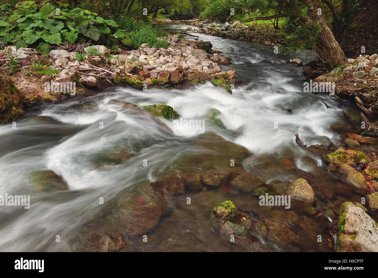 Gradac River Gorge Stock Photo - Alamy