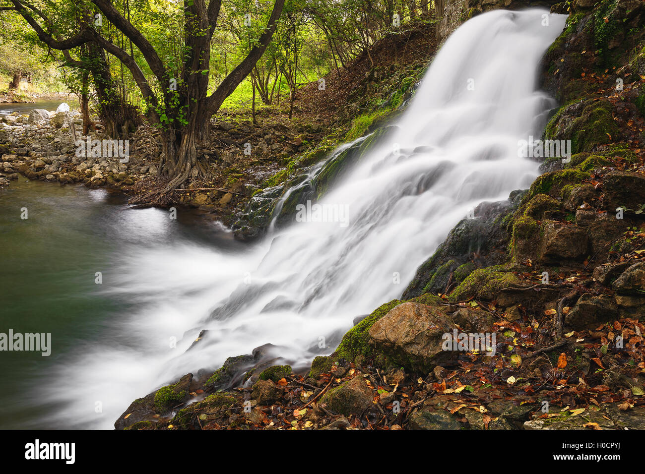 Gradac river hi-res stock photography and images - Alamy