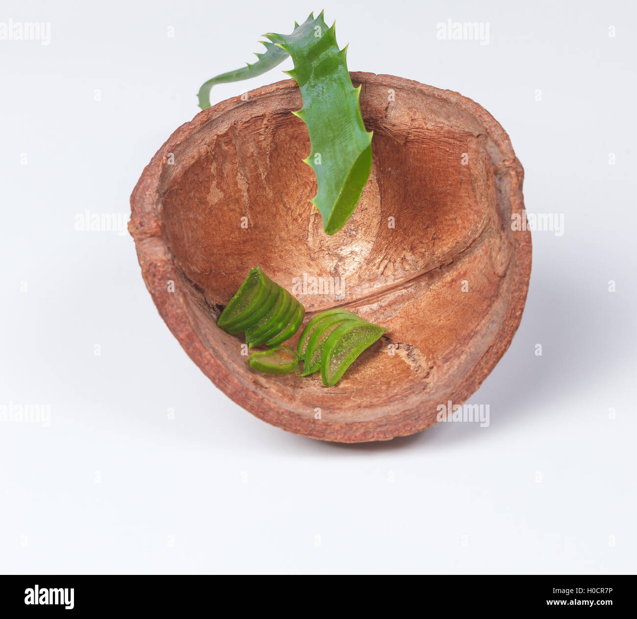 Aloe vera plant and slices in a coconut shell Stock Photo - Alamy