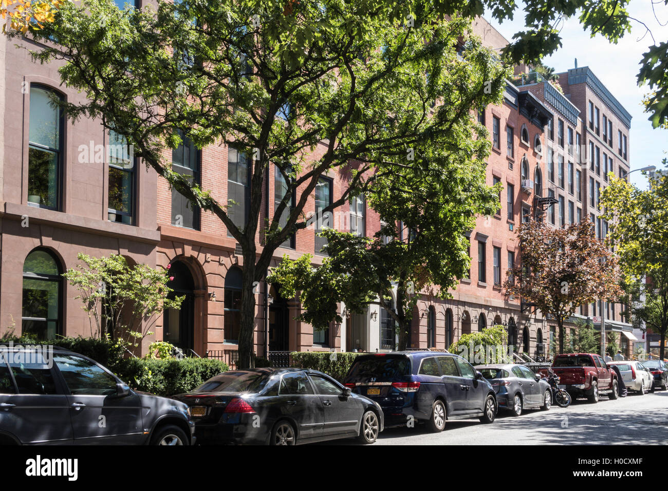 Chelsea Neighborhood Nyc