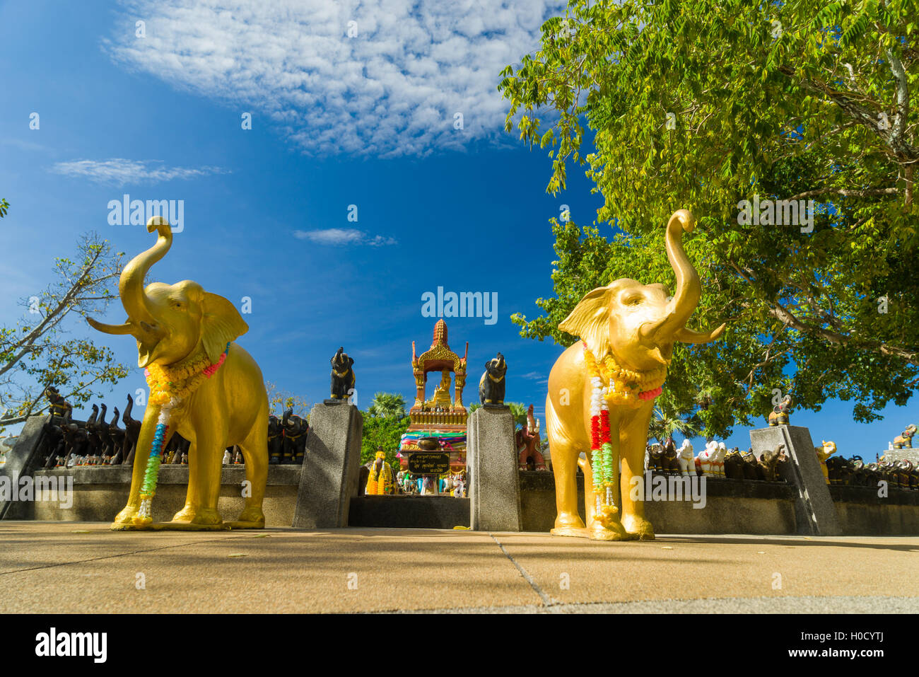 Elephants at the Phuket lighthouse temple Prom THep Stock Photo - Alamy