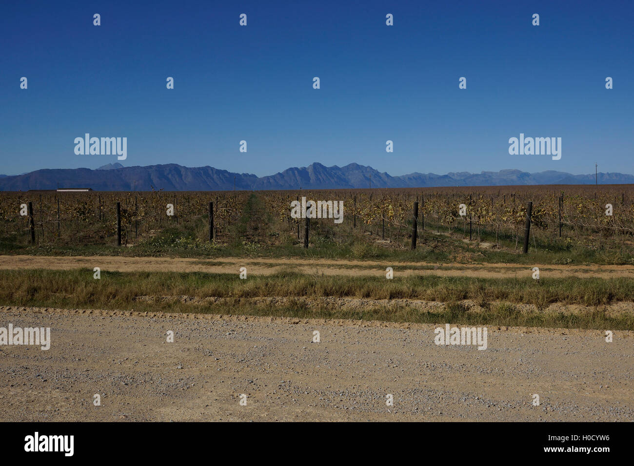 Farmlands in the Boland region of the Western Cape Province of South ...