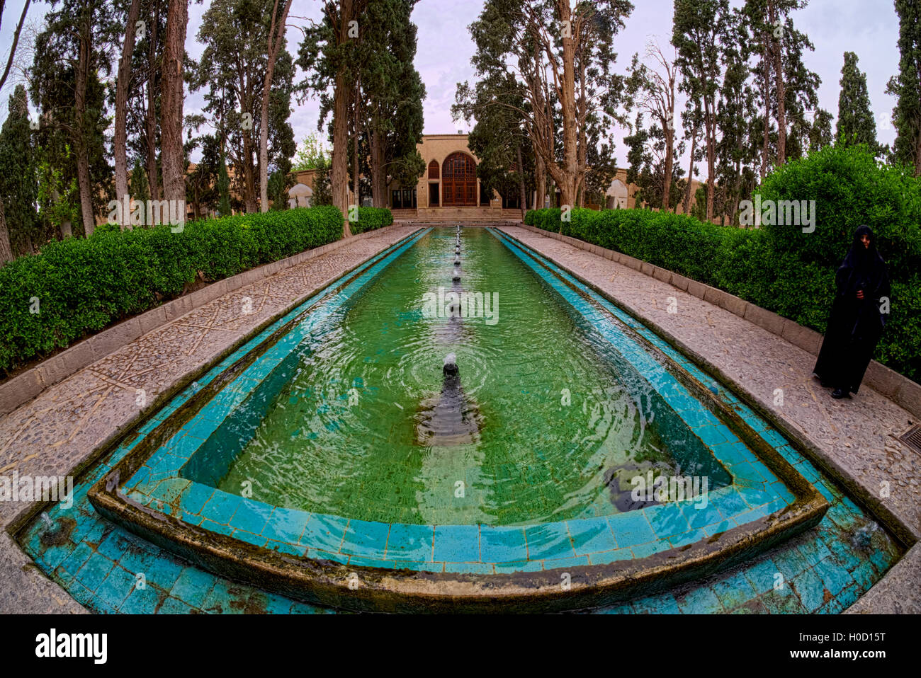 Fin features hi-res stock photography and images - Alamy