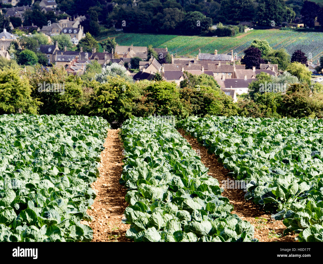 cotswolds, uk, landscape, england, cotswold, rural, english, view, farm ...