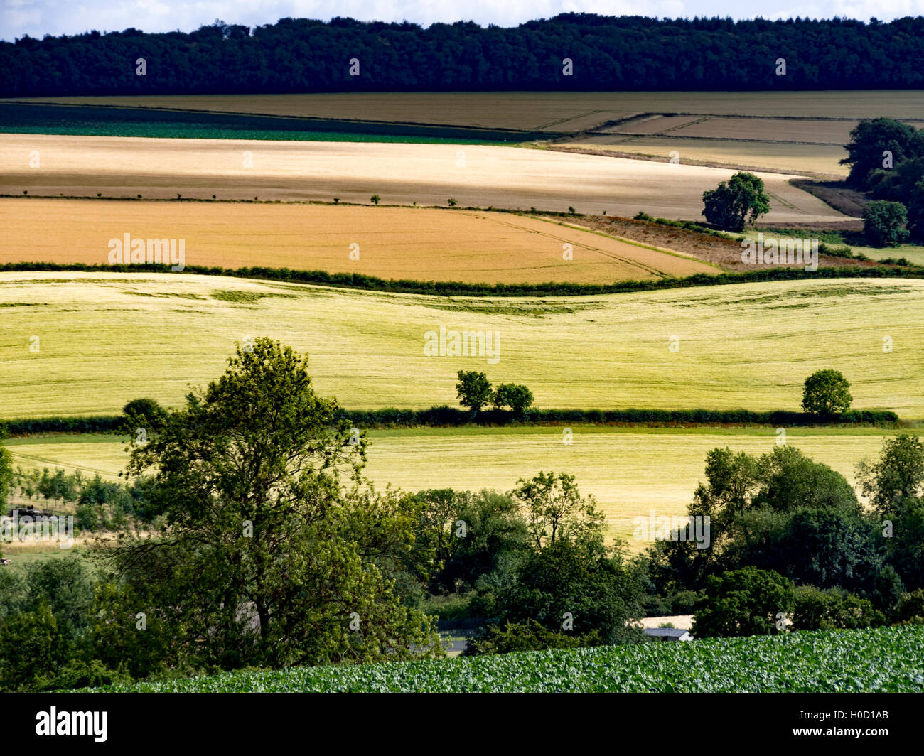 cotswolds, uk, landscape, england, cotswold, rural, english, view, farm ...