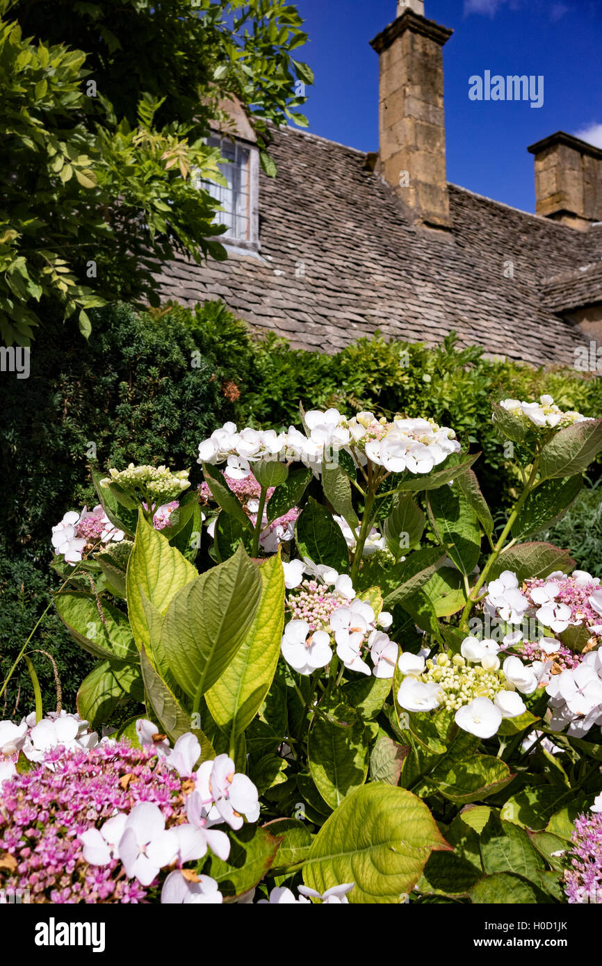 house, english, estate, houses, generic, residential, england, scene ...