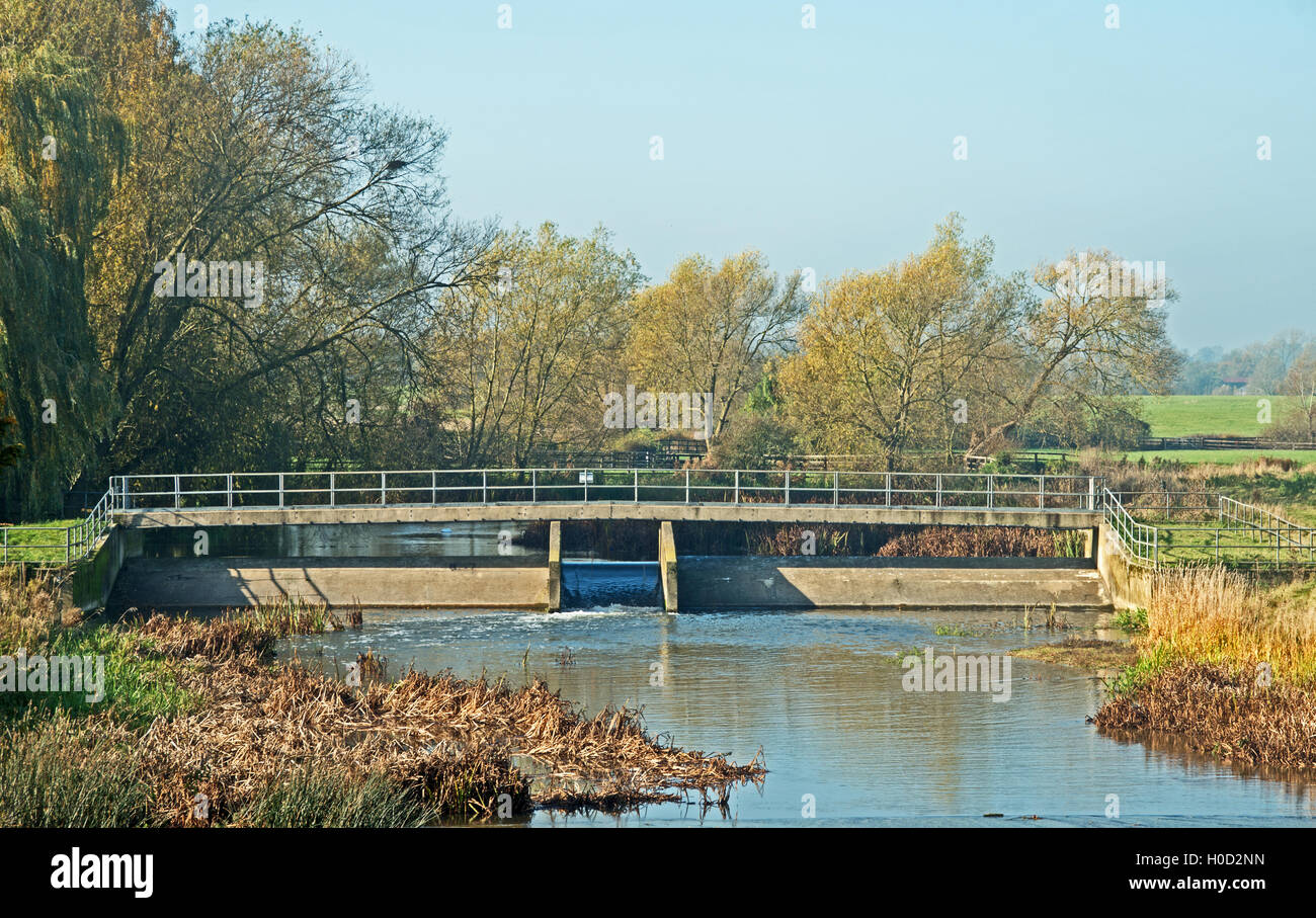 River ouzel hi-res stock photography and images - Alamy