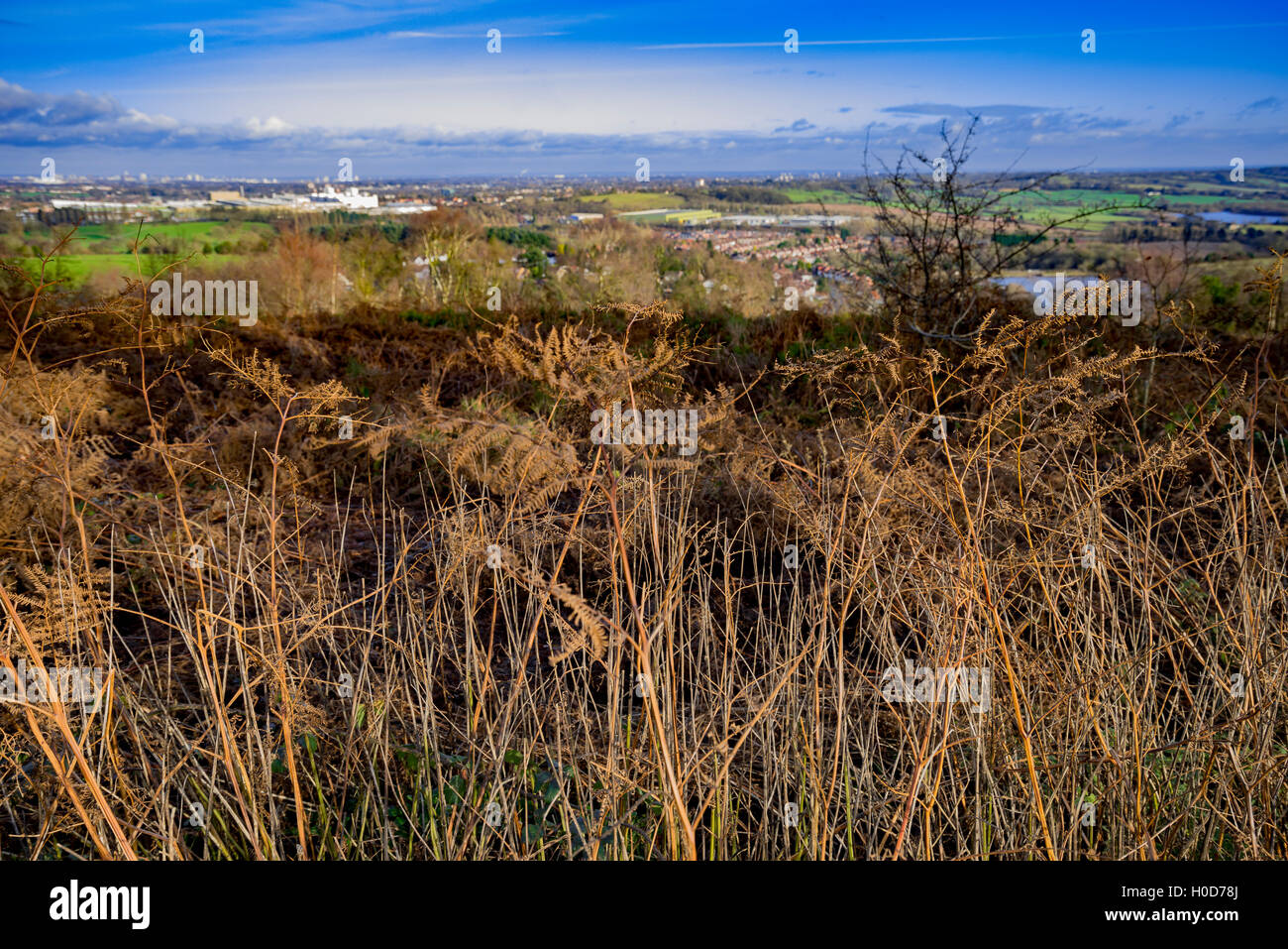 hills, lickey, birmingham, uk, worcestershire, england, estate, park ...