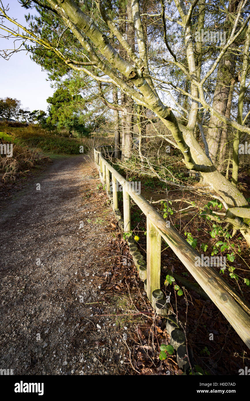 hills, lickey, birmingham, uk, worcestershire, england, estate, park ...