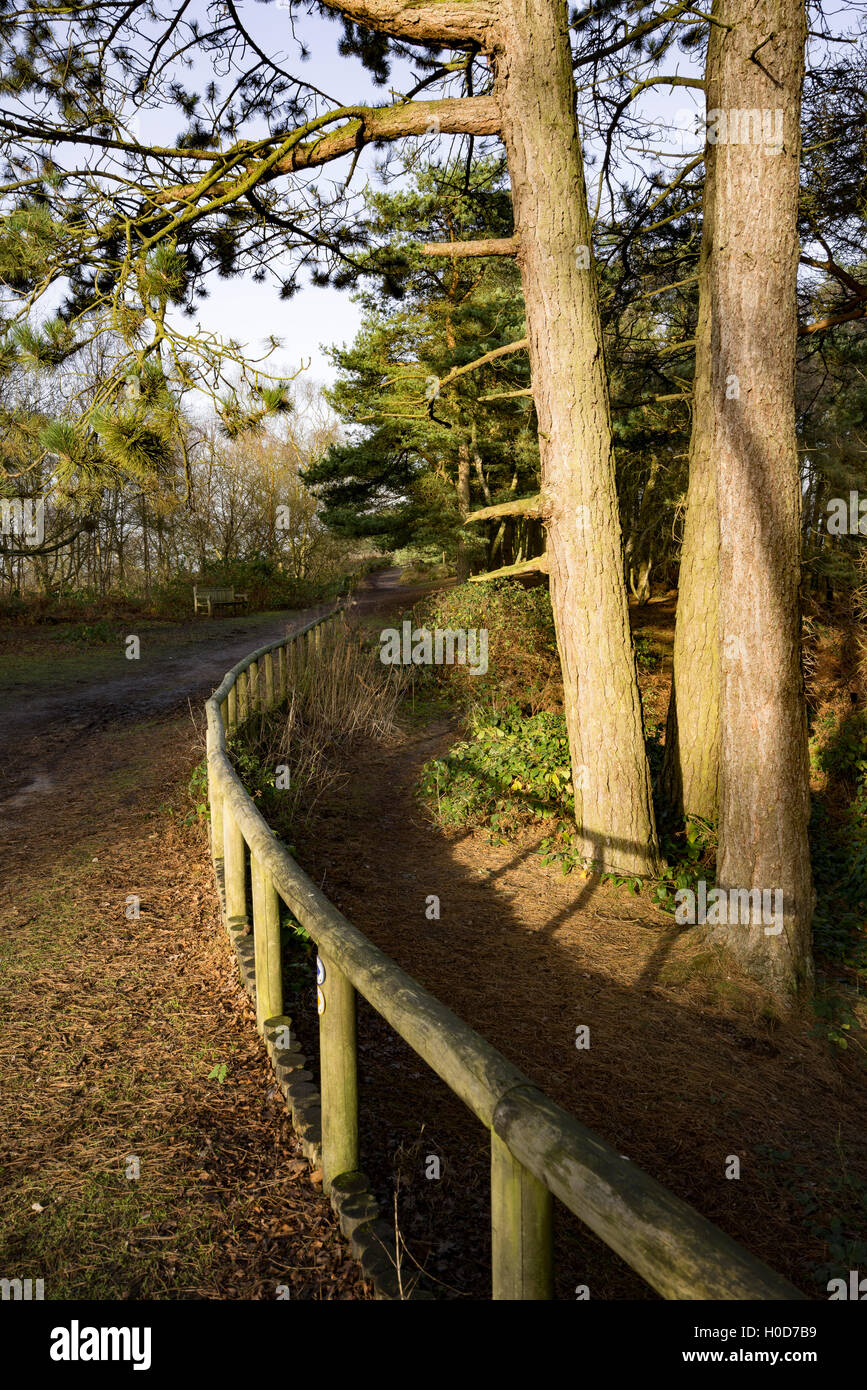 hills, lickey, birmingham, uk, worcestershire, england, estate, park ...
