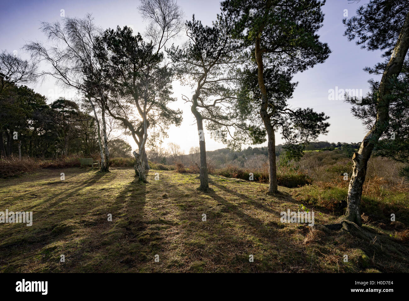 hills, lickey, birmingham, uk, worcestershire, england, estate, park ...
