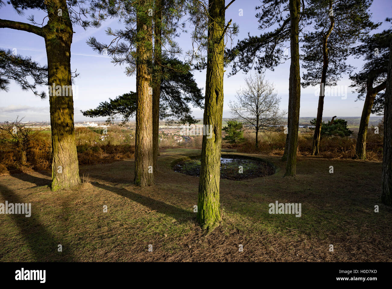 hills, lickey, birmingham, uk, worcestershire, england, estate, park ...