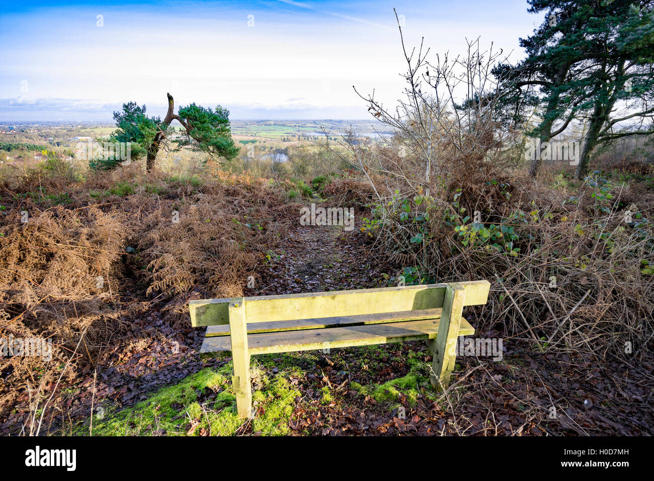 hills, lickey, birmingham, uk, worcestershire, england, estate, park ...