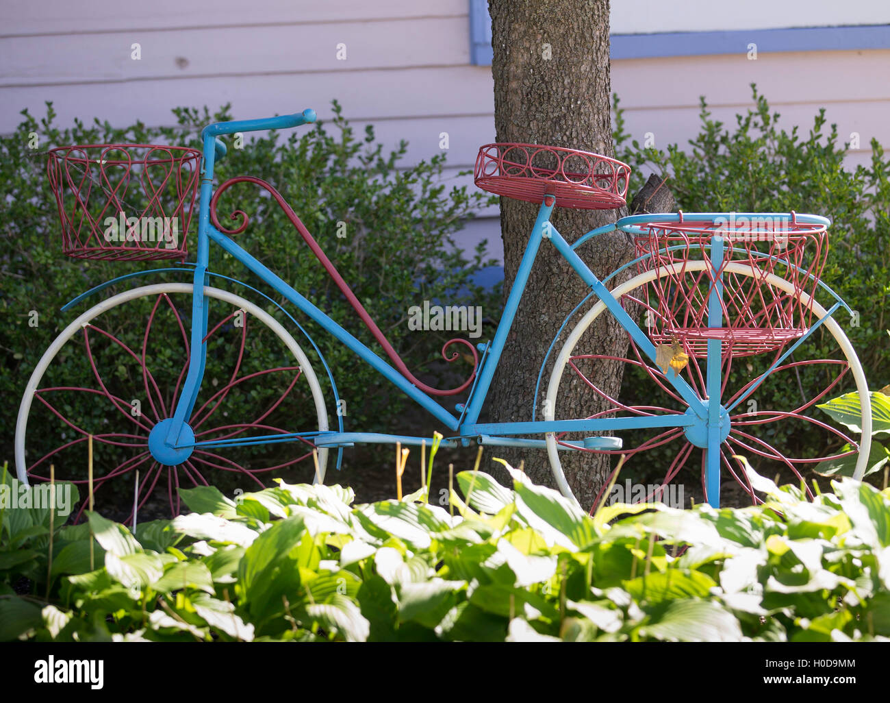 Old house and bicycle hi-res stock photography and images - Alamy